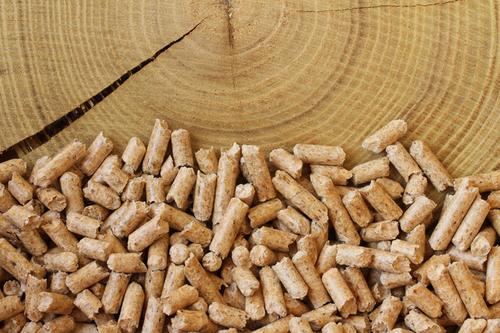 Holzpellets kaufen | FP Franken-Pellets GmbH & Co. KG